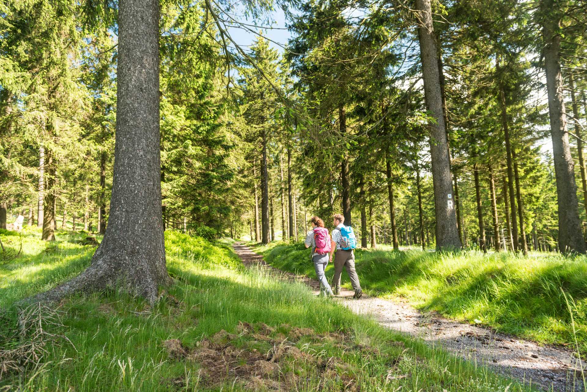 Rennsteig – Touristinformation der Spielzeugstadt Sonneberg